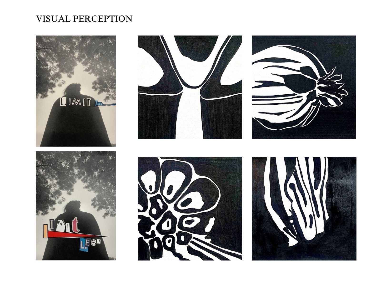 UBD24058 | CEPT - Portfolio